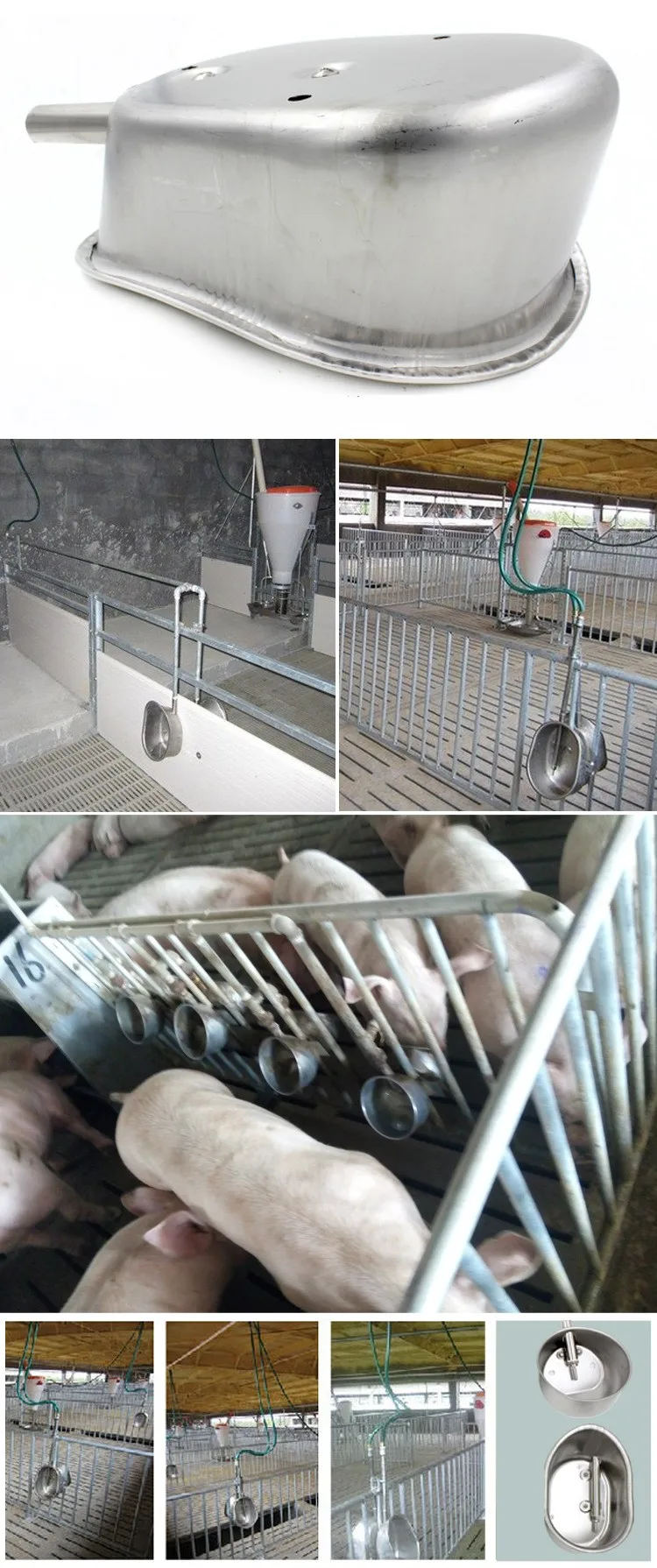 Pig Farming Water Trough For Pigs/swine Waterer - Buy Water Trough For ...