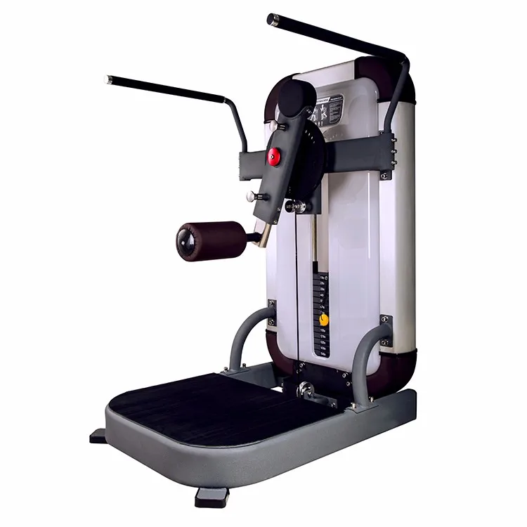 Heavy Duty Gym Club Training Use Body Solid Gym Equipment Standing ...