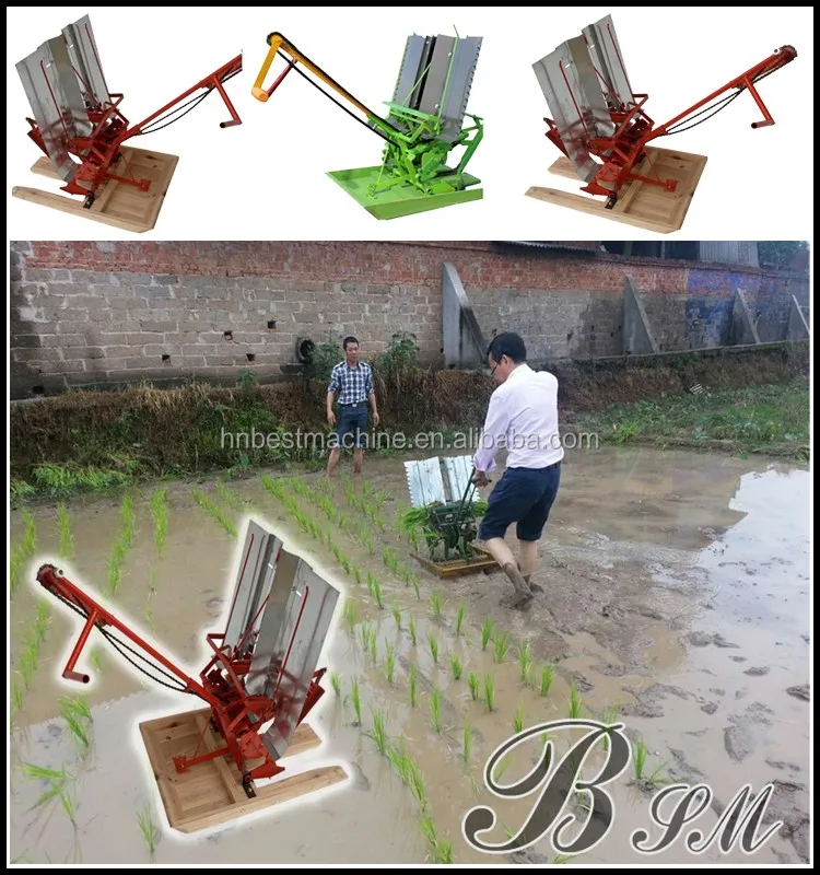 2 Rangées Main Transplanteur De Riz/planteur De Riz/paddy Plantation ...