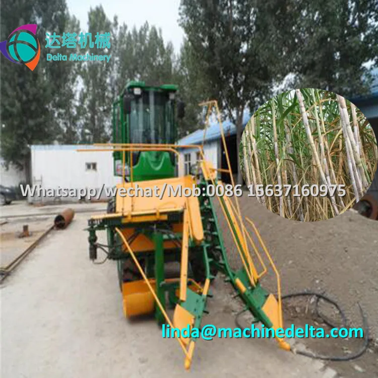 Sugarcane Cutting Machine