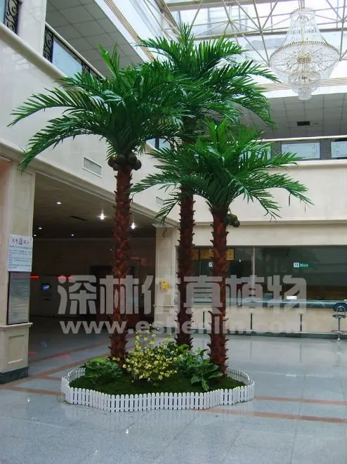 Large Indoor Trees,Indoor Coconut Trees,Indoor Tropical Trees - Buy ...