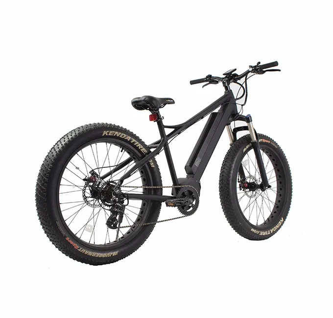 2018 Mozo Suspension Fork with 1000w Bafang Motor E-bike