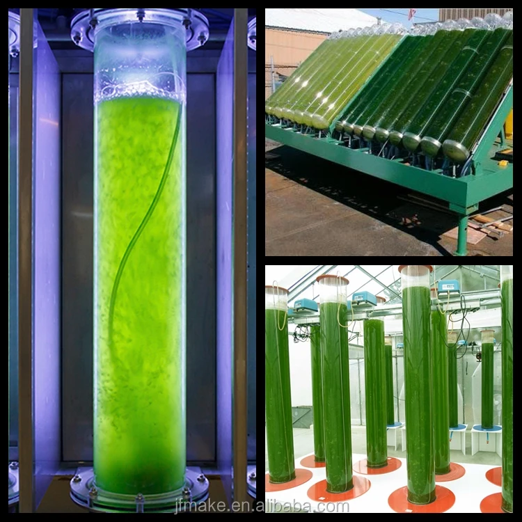 Customized Size Transparent Pc Plastic Tube For Algae Cultivation - Buy ...