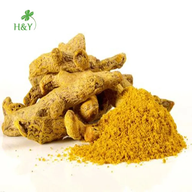 Pure Natural Curcuma Longa Extract Water Soluble Curcumin 20% - Buy ...