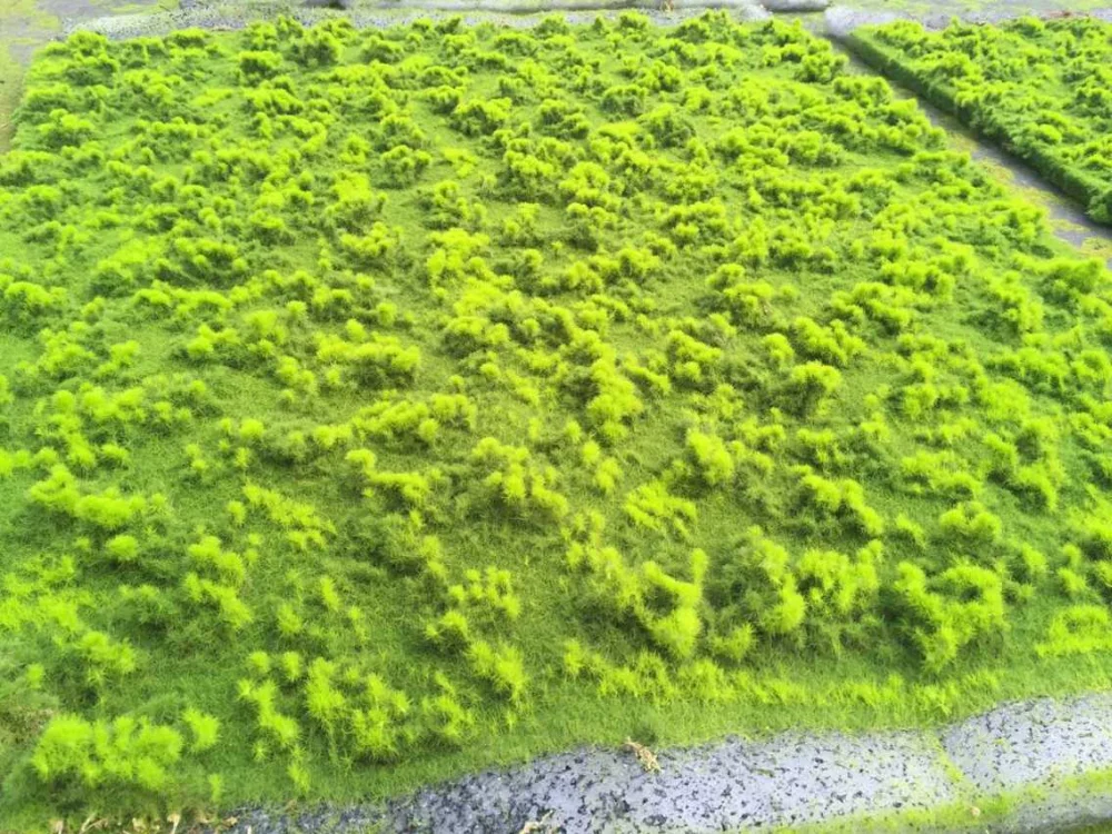 Künstliche Moos Matte,Künstliche Moos Teppich,Künstliche Moos Platz ...