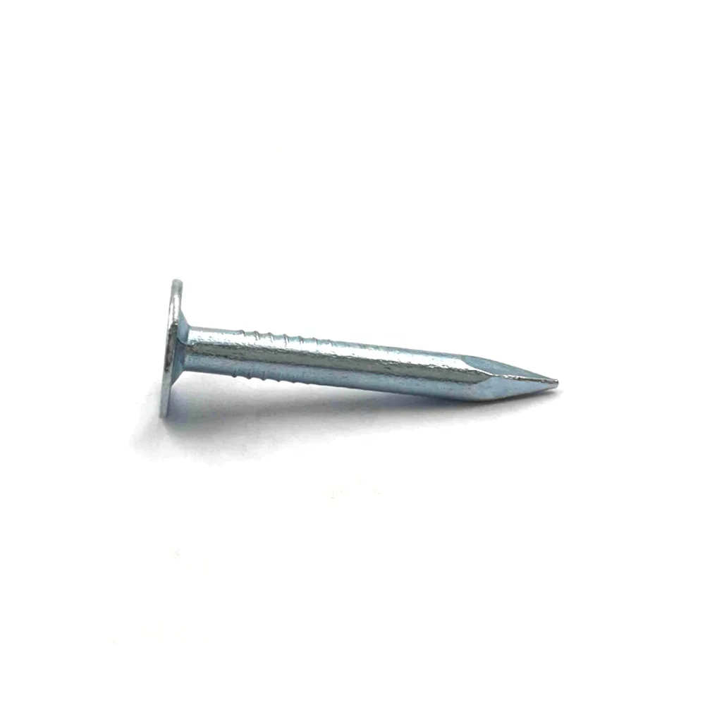 Electro Galvanized Large Head Clout Nail 1"x11G Felt Nail Linoleum Nail ...