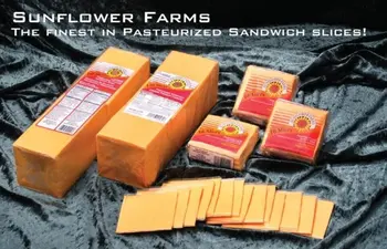 Processed Cheese Slices- Bulk Iws - Buy Cheese Product on Alibaba.com