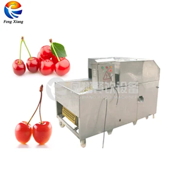 Industrial Commercial Cherry Destone Machine,Electric Cherry Pitter ...