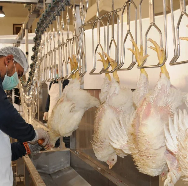 High Quality Beat Price Chicken Slaughtering Parts And Shackle - Buy ...