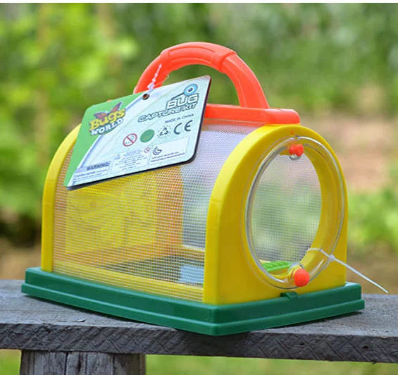Children's Insect Box; Insect Rearing Cage For Outdoor Scientific ...