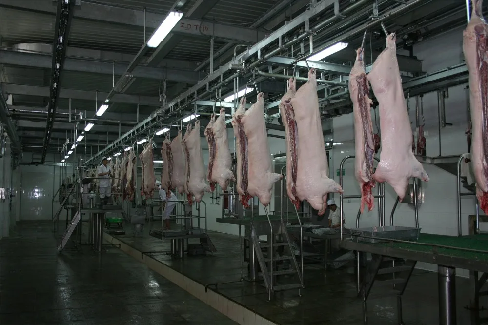 2000 Matadero De Cerdos De Configuración Diaria - Las Normas Europeas ...
