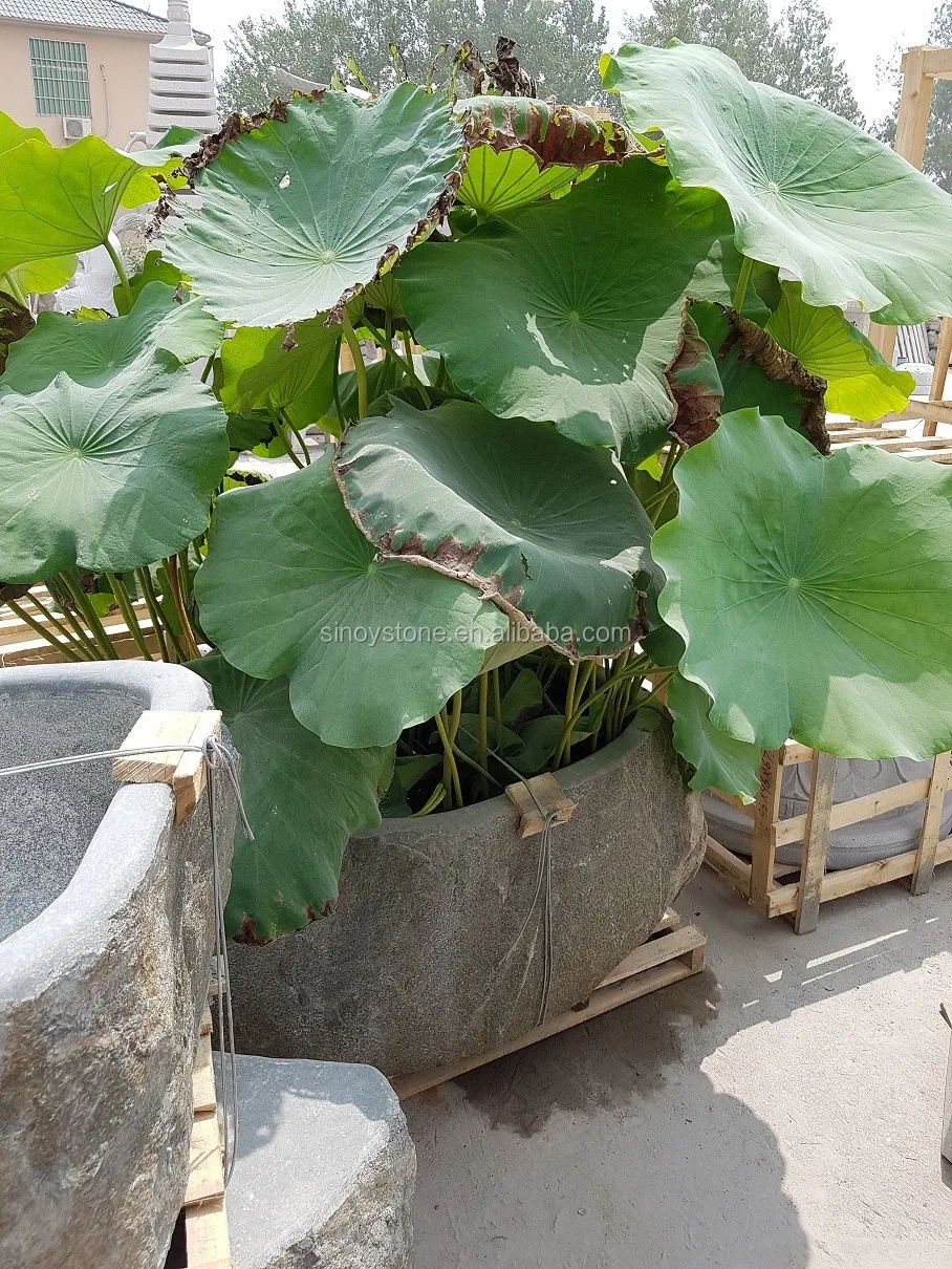 Black Natural Stone Water Troughs for Sale - Modern Garden Decoration ...