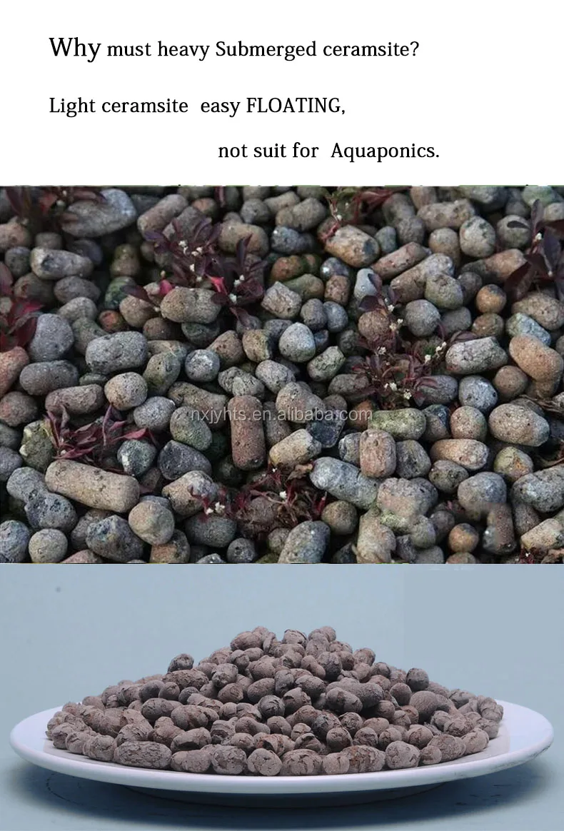 Hydroponics Substrate - Expanded Clay Pebbles (leca)