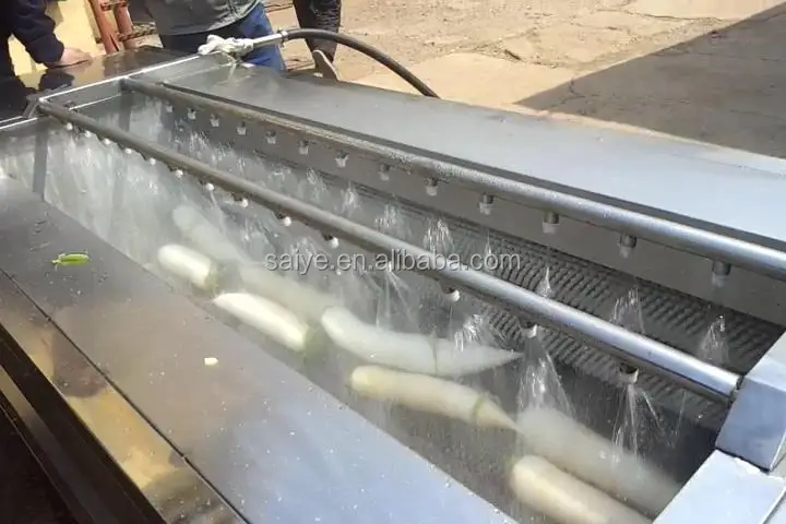 Stainless Steel Clam Cleaning Machine Sea Shells Washing Machine For ...