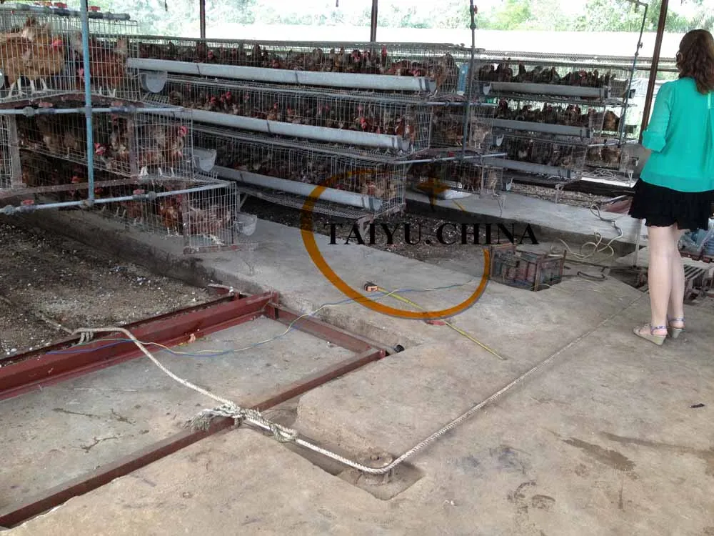 Taiyu Save Labor Cost And Easy Clean Poultry Manure Cleaning Scraper ...