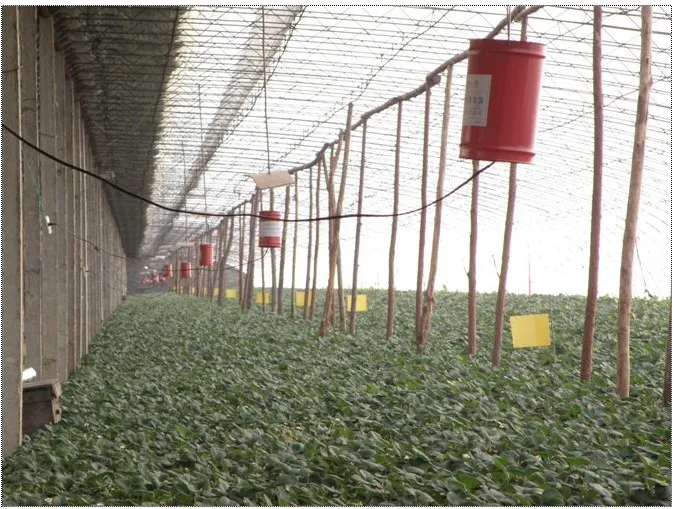 Greenhouse Sulphur Burner - Buy Sulphur Burner,Greenhouse Sulphur ...