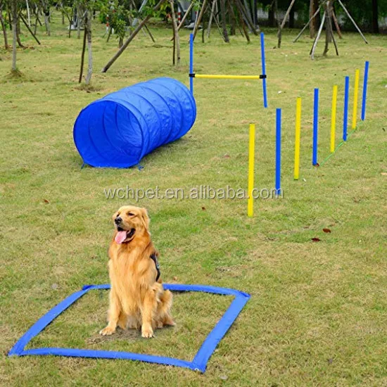 Obstacle Backyard Competitive Dog Agility Training Course Kit Blue ...