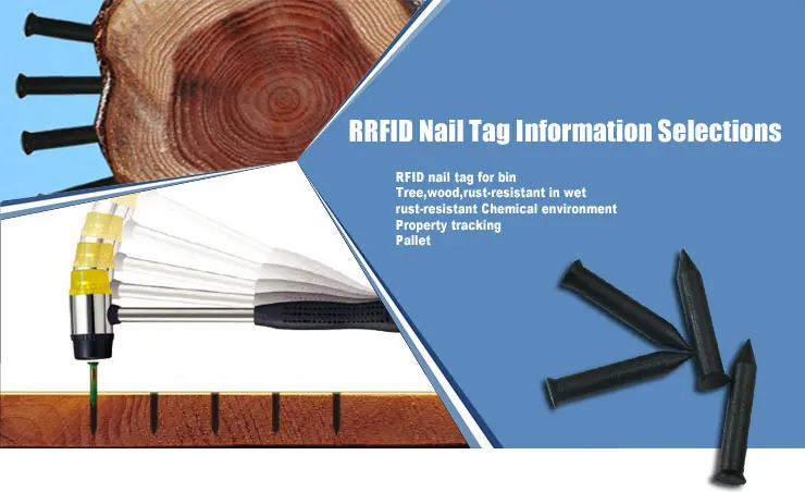NFC/RFID Dual Frequency Tree Asset Tags and Labels Real-Time Data ...