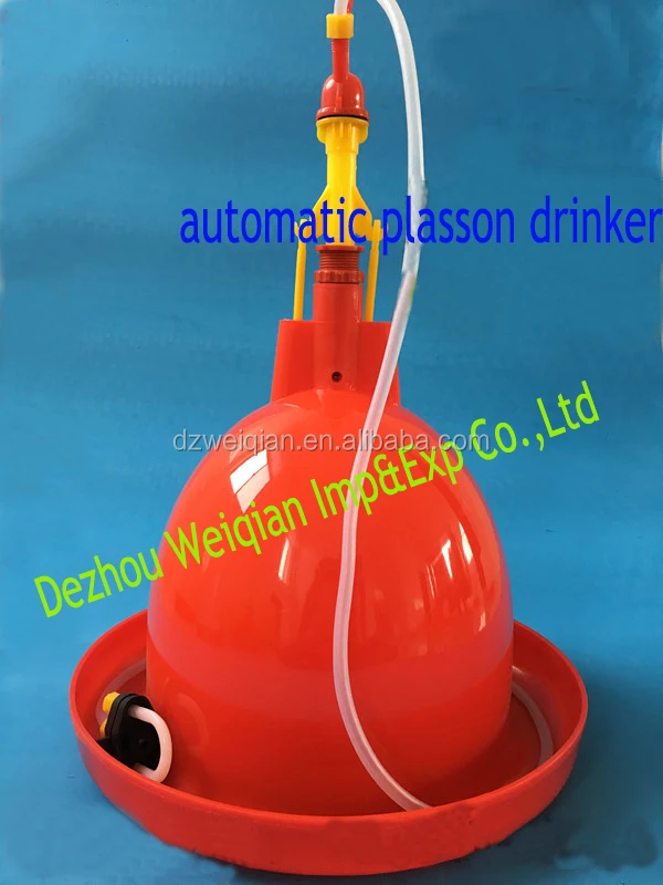 Automatic Bell Drinker/plasson Poultry Drinker For Sale - Buy Plasson ...