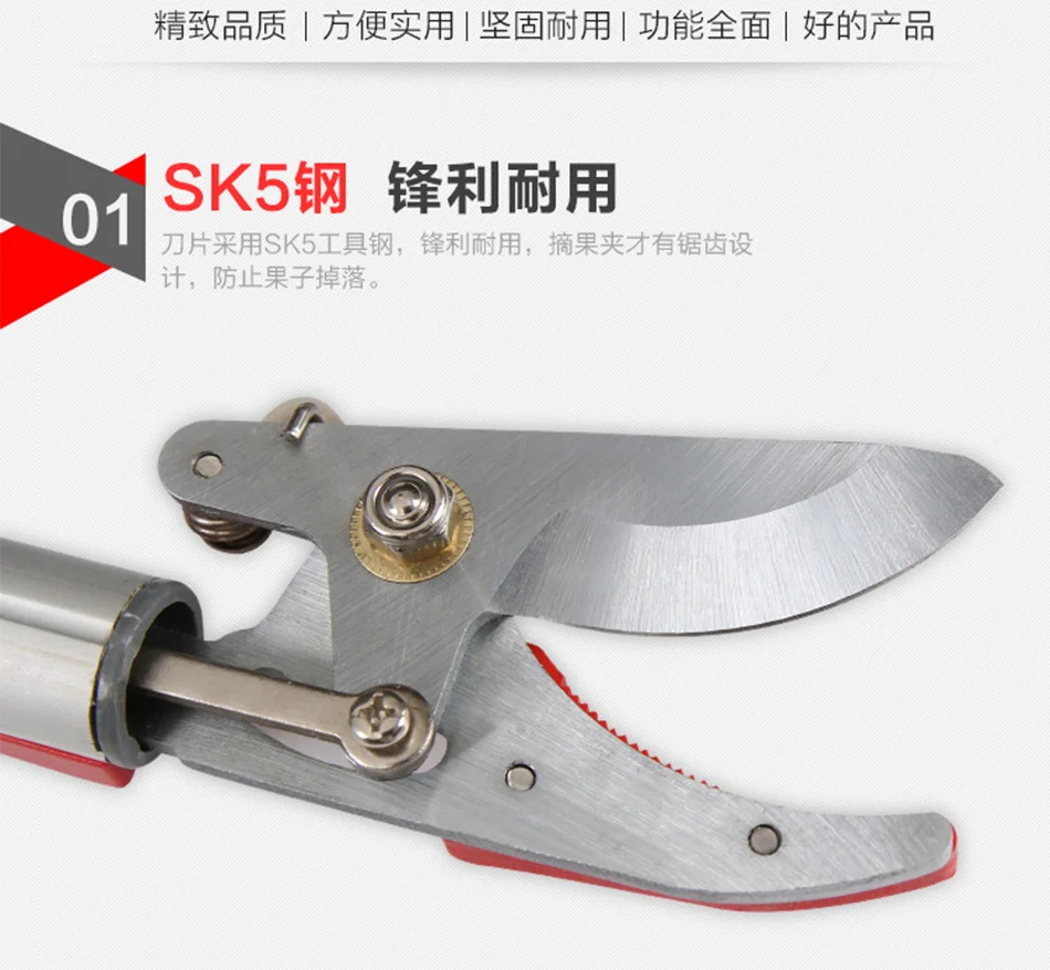Extentool Telescopic Pruning Shears - Efficient Tree Trimming