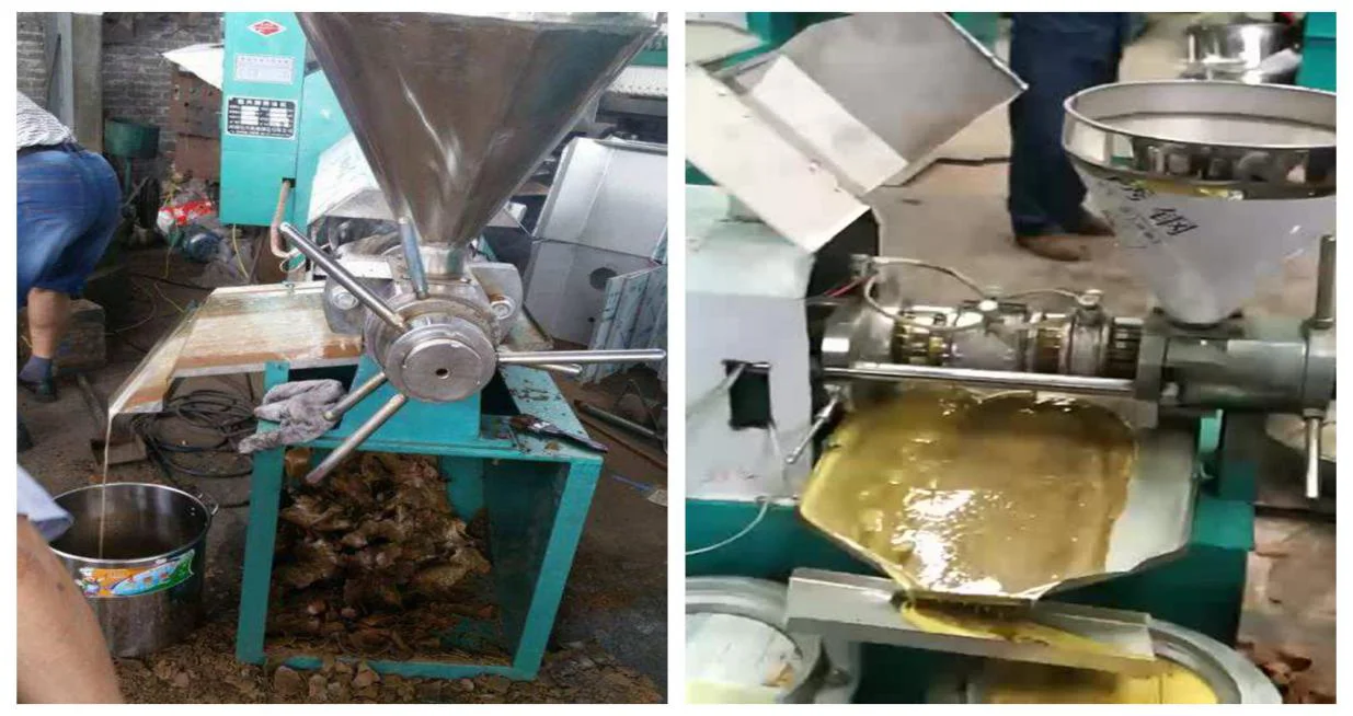 Industrial Vegetable Hemp Seed Oil Press Cardamom Oil Extraction ...