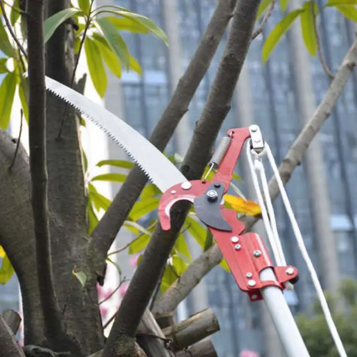 Hot Sale Extendable Scissors Pruning Tool Tall Tree Branch Lopper High ...
