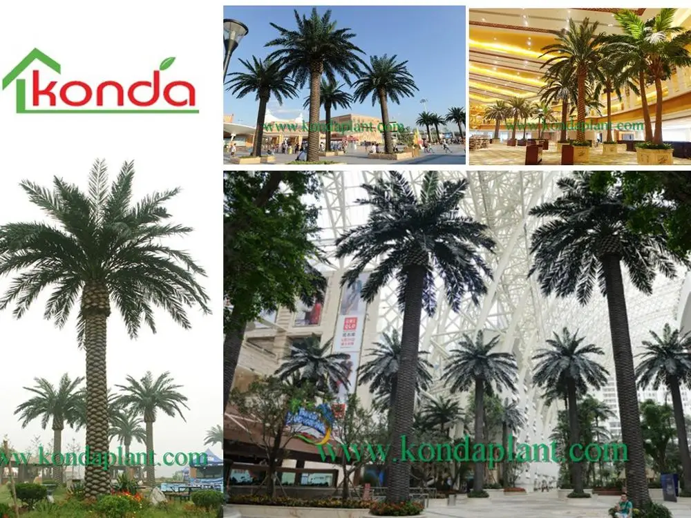 Artificial Tissue Culture Saudi Arabia Style Date Palm Trees Sale For ...