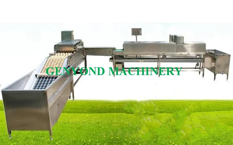 Top Quality Commercial Egg Washing Machine - Buy Egg Sorting Machine ...