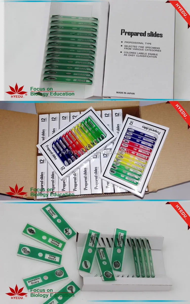 Low Price 12pcs Kids Plastic Microscope Slides Toy(green Set ...