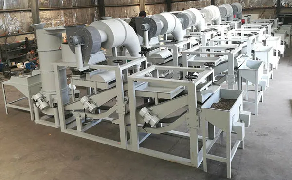 Automatic Pumpkin Seed Shelling and Sacha Inchi Nuts Peeling Machine ...