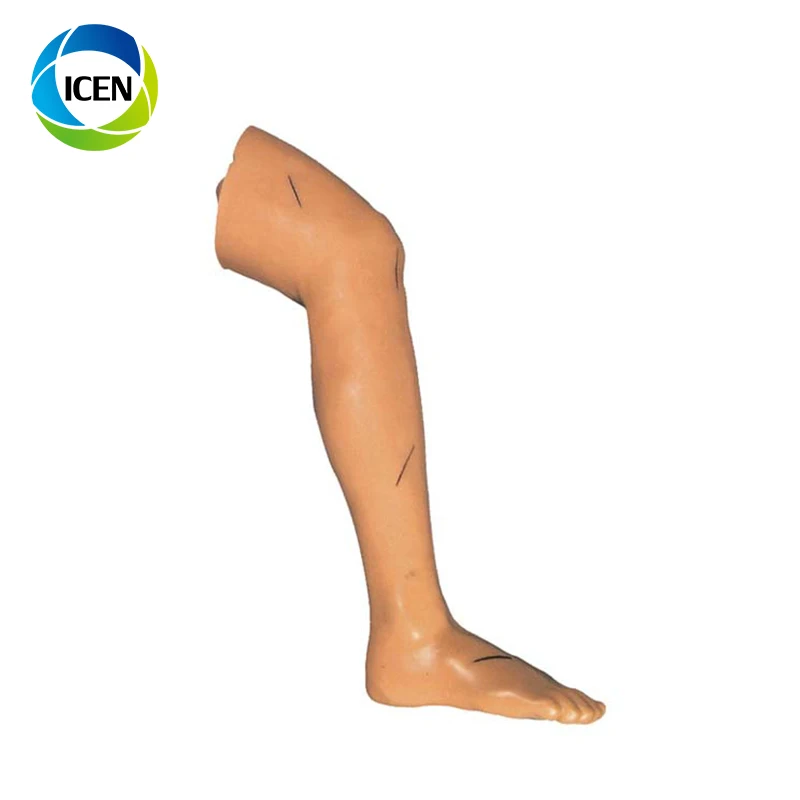 In-411 Hospital Medical Human Teaching Model Advanced Suture Practice ...