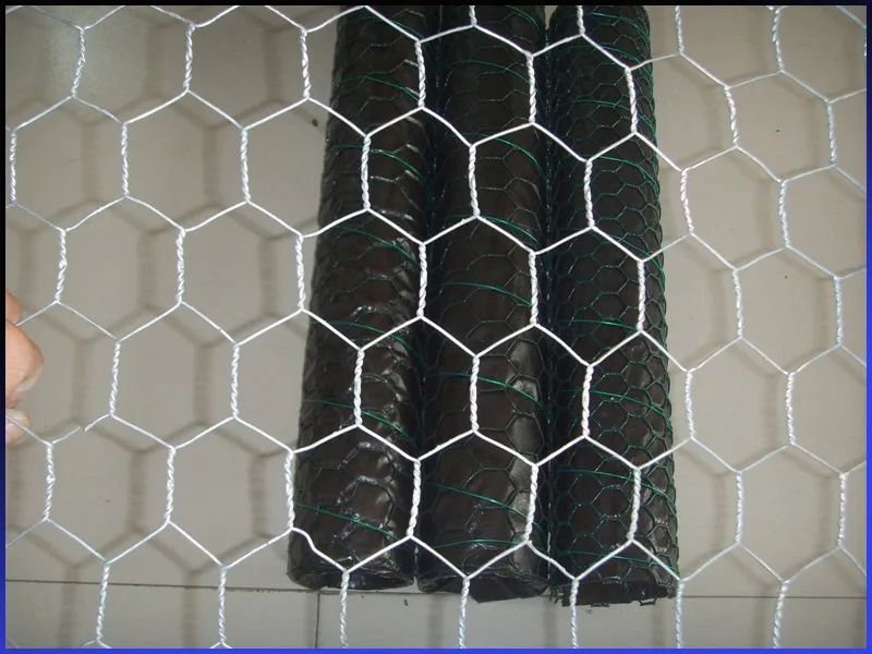 Elector Galvanized Hexagonal Wire Mesh/hot Dip Galvanized Hexagonal ...