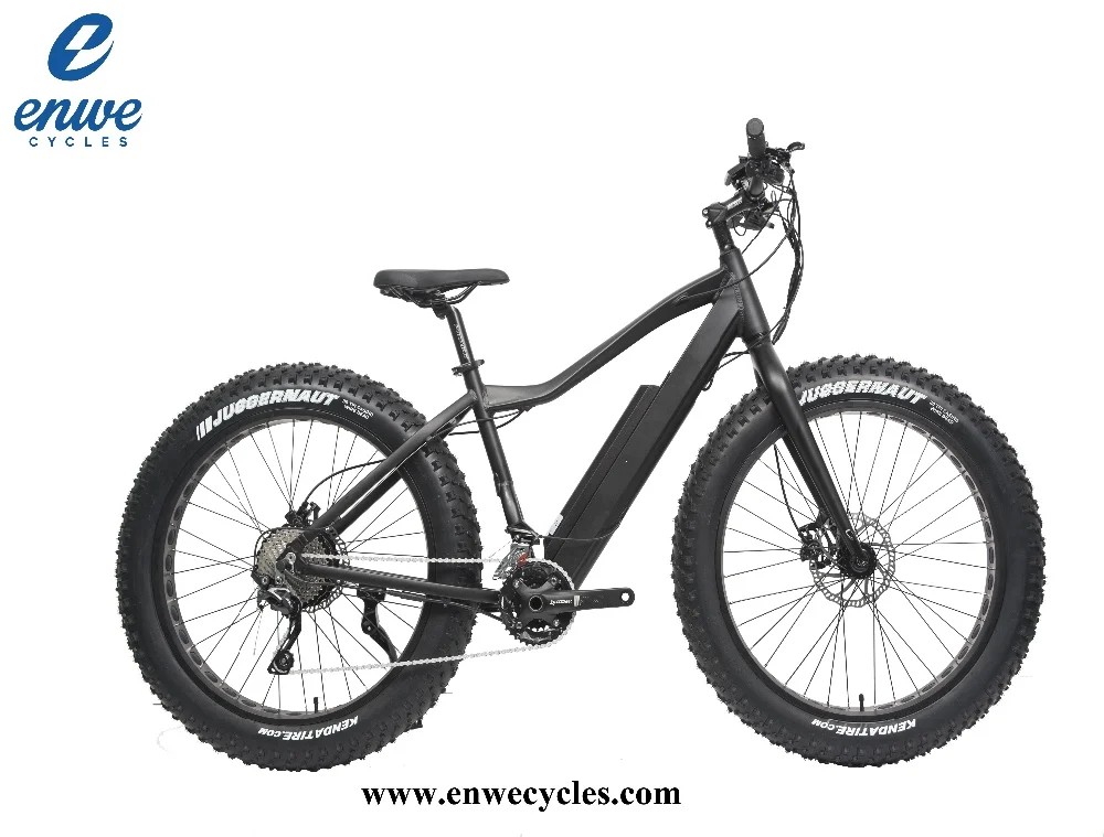 Enwe New Product Electric Bike Motor Fatboy Ebike Oem Mountain E Bike ...