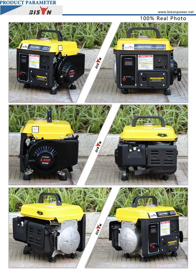 Bison(china) Performance 950 Watt Portable Generator 800 Rated Watts ...