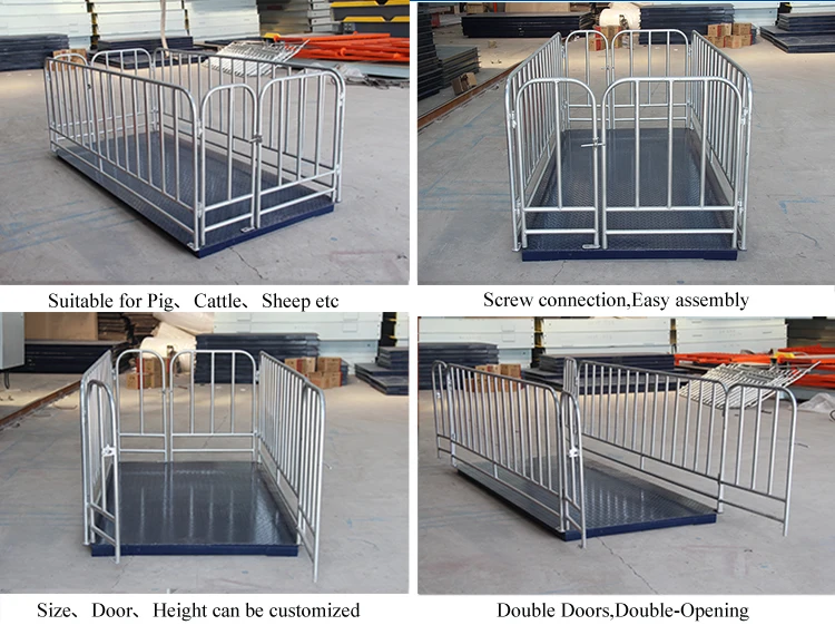 Livestock Scale for Pig Cow Animal Scale - High Quality