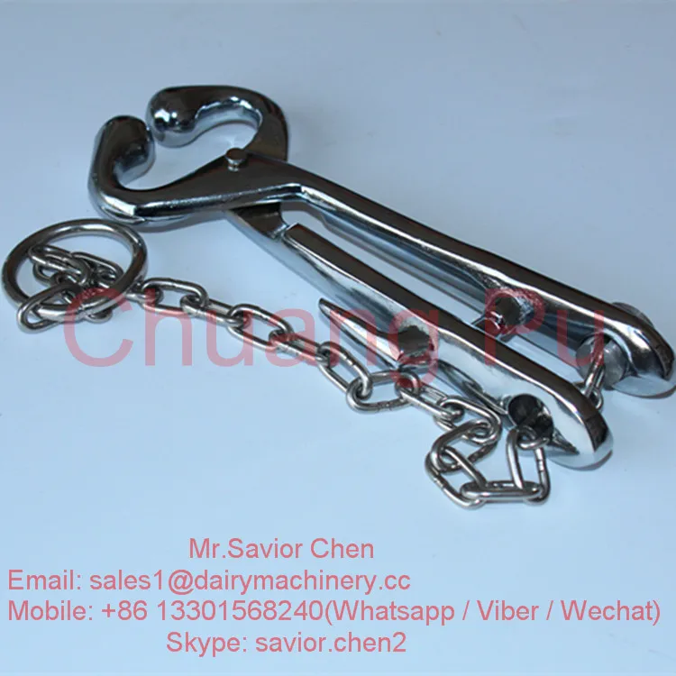 Dairy Farm Steel Cow Nose Tongs With Chain,Cattle Nose Clip - Buy Cow ...