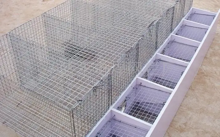 Wire Mesh Quail Cage/wire Mesh Pallet Cage/wire Mesh Reptile Cage - Buy ...
