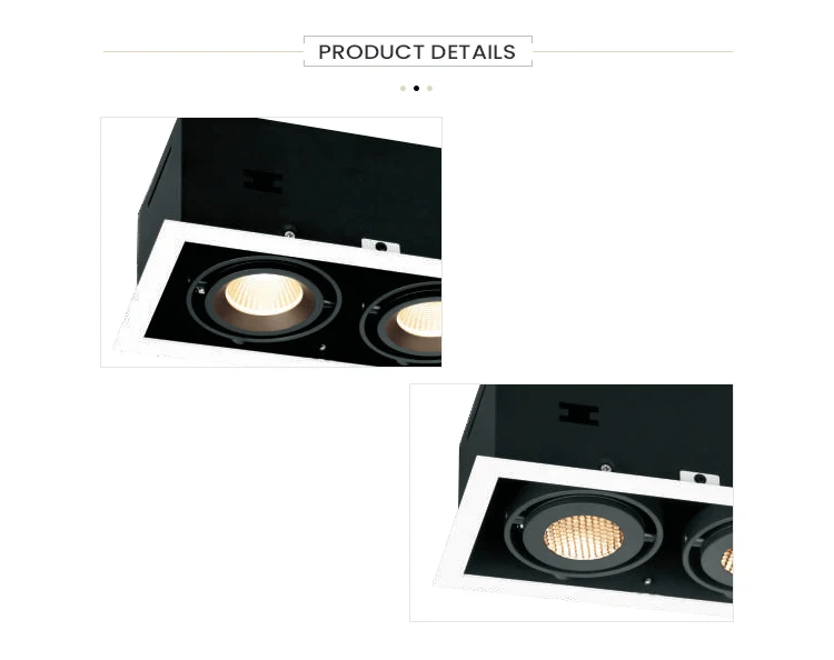 2*10w 2*15w Modern Double Head Recessed Led Downlight - Buy Ip21 Twin ...