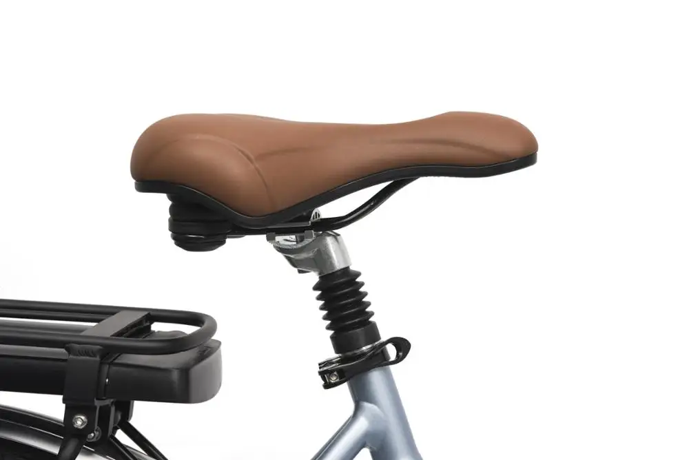 Enwe Electric Bike 2019 Hot Sales 700c City Electric Bike Classical ...