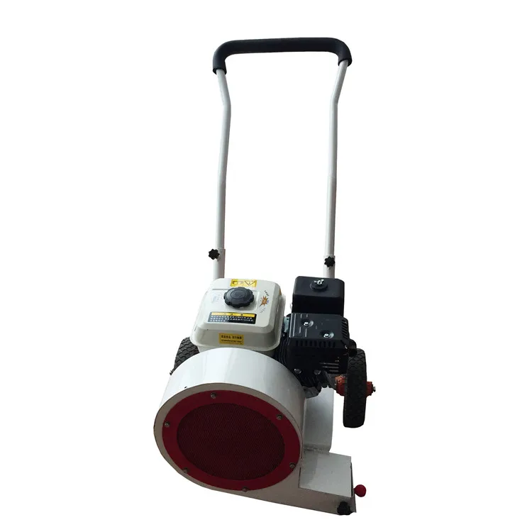 Efficient Asphalt Cleaning with Small Concrete Road Blower