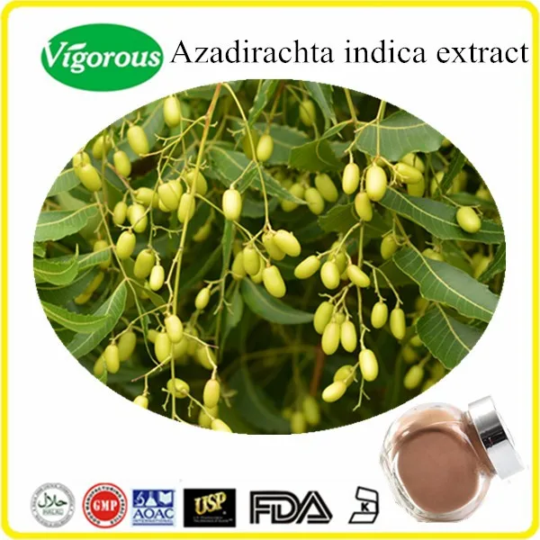 Neem Bark Extract Azadirachta Indica Extract Powder - Buy Neem Bark ...