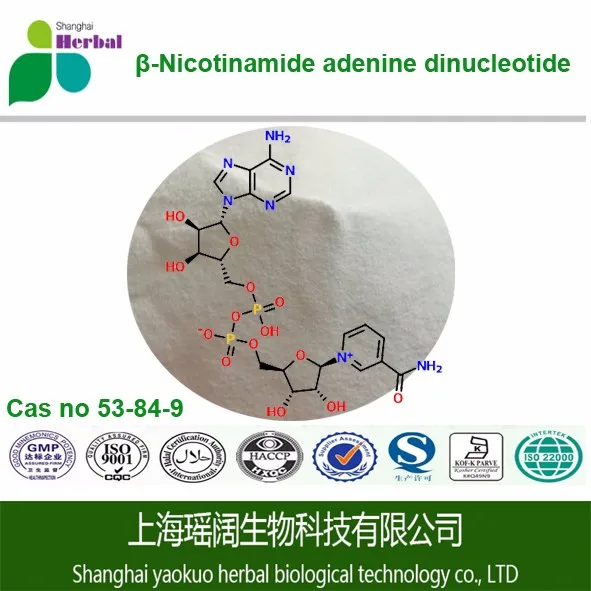 High Quality Nad/nad+/nmn Powder In Supply Cas 53-84-9 Beta-nicotinamide Adenine Dinucleotide ...