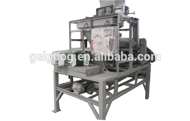 Automatic Hazelnut Sorting Processing Breaking Palm Kernel Shell ...