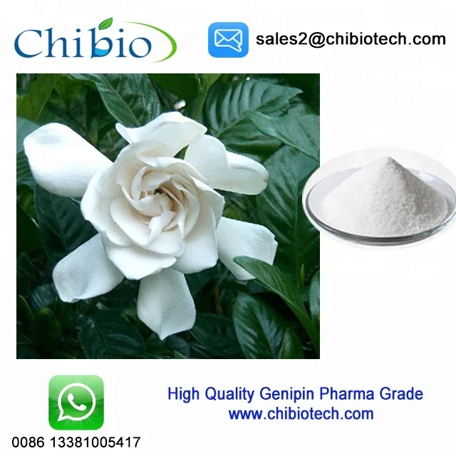Factory Supply High Quality Pure Genipin 98% Powder Pharma Grade - Buy ...