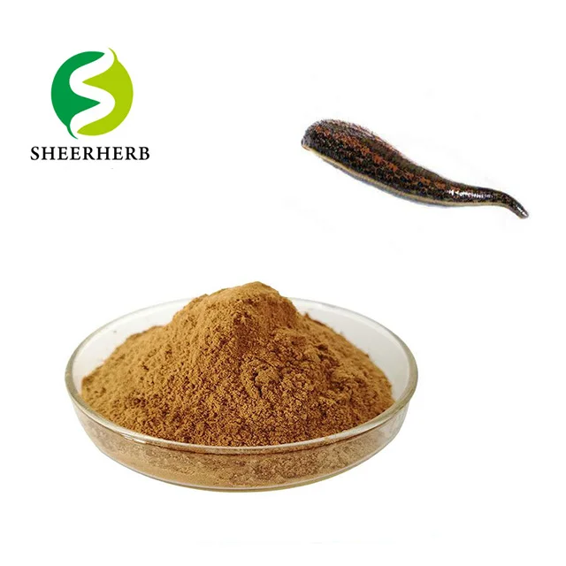 Pure Leech Hirudin Leech Medical Powder Hot Sale - Buy Leech Extract ...