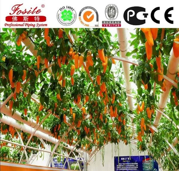 Agricultural PVC Pipe for Greenhouse Hydroponic Growing