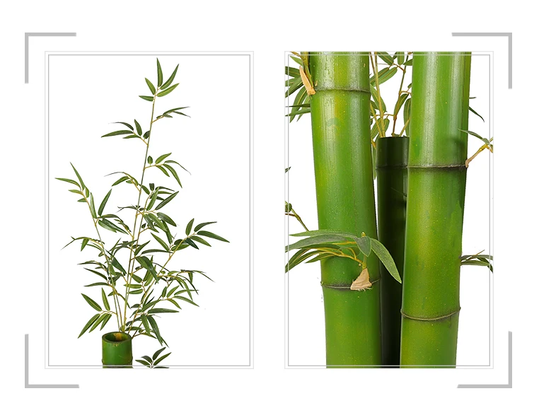 2.3m Tall Bamboo Plant - Perfect for Indoor Decoration