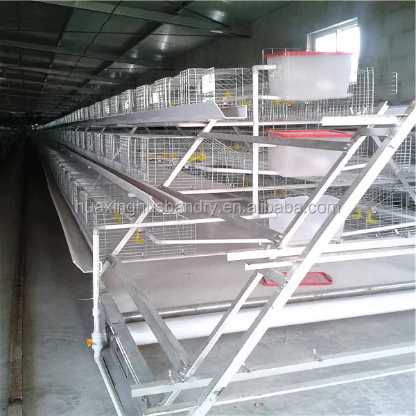 Layer Chicken House/egg Chicken House Design For Layers/commercial ...