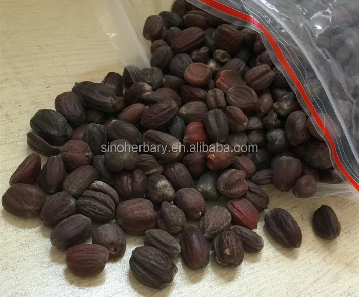 Jojoba Seeds For Planting - Buy Jojoba Seeds For Sale,Jojoba Seeds ...