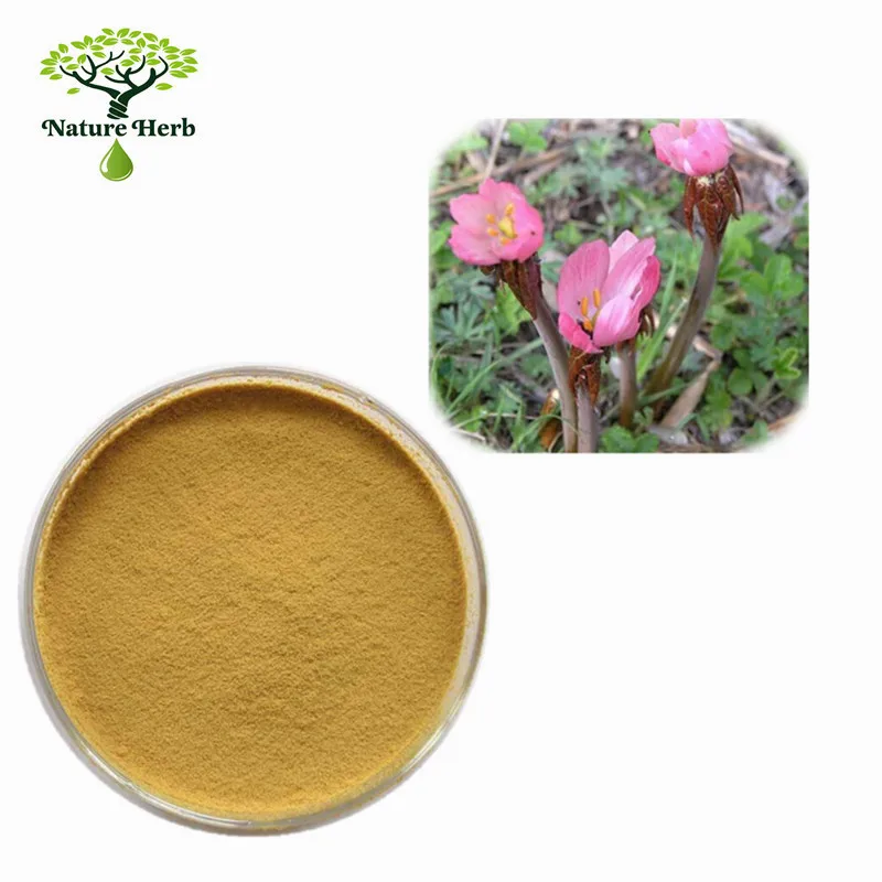 Herb Medicine Podophyllin 50% Podophyllum Hexandrum Extract Powder ...